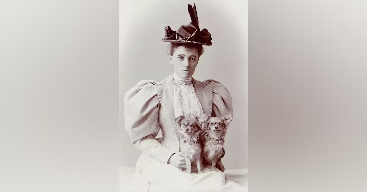 The History of Literature #477 — Does Edith Wharton Hate You? (Part 2 ...